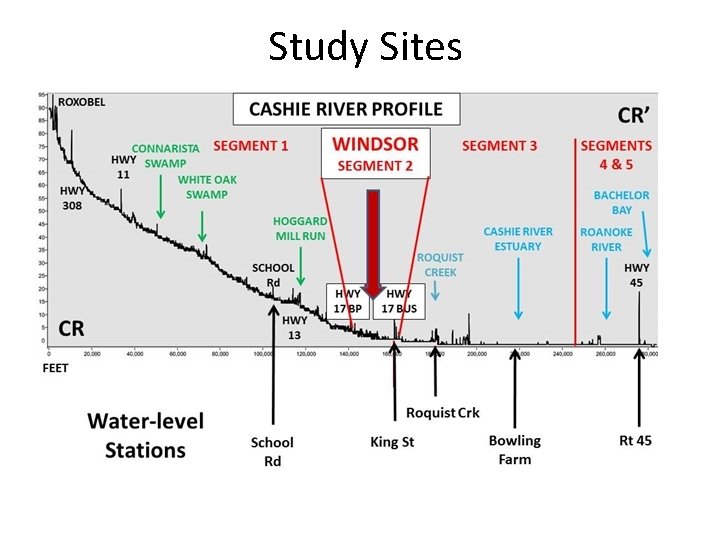FLOOD DYNAMICS IN THE BERTIE WATER CRESCENT INTEGRATING
