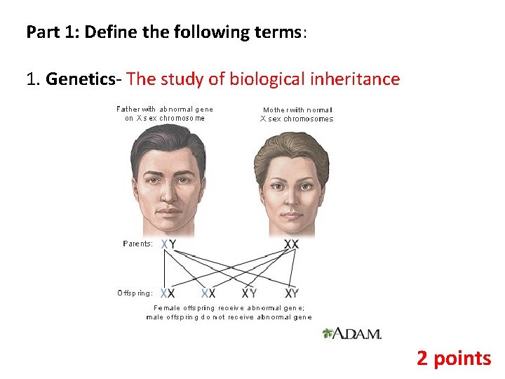 GRADING RUBRIC Worksheet Unit 6 Test Review HONORS