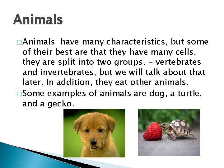 The Classification of Living Things By Keegan Noah