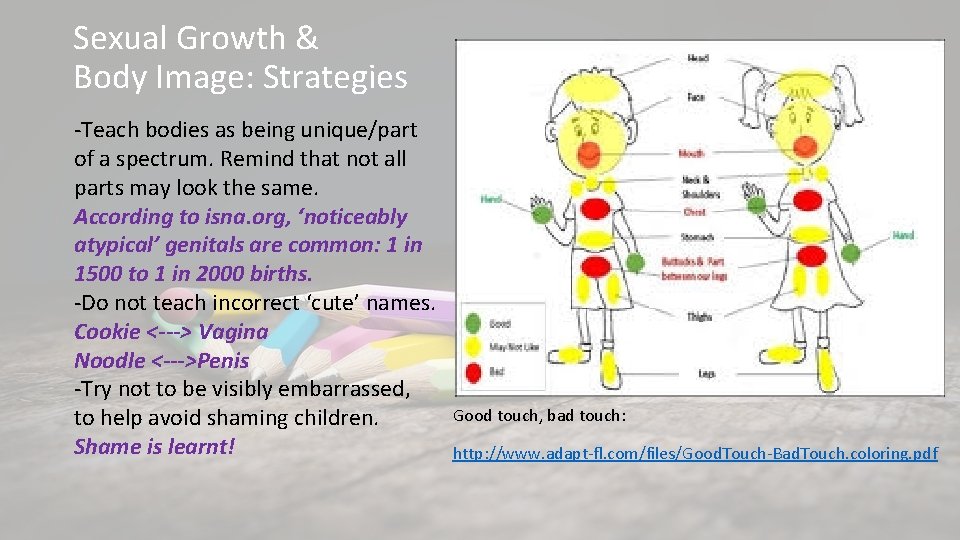 Sex education in the Kindergarten classroom By Chloe