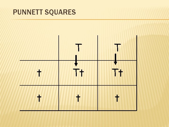 Predicting Genetic Outcomes PUNNETT SQUARES AND PROBABILITY PATTERNS