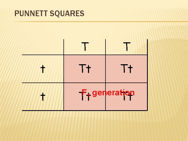 Predicting Genetic Outcomes PUNNETT SQUARES AND PROBABILITY PATTERNS