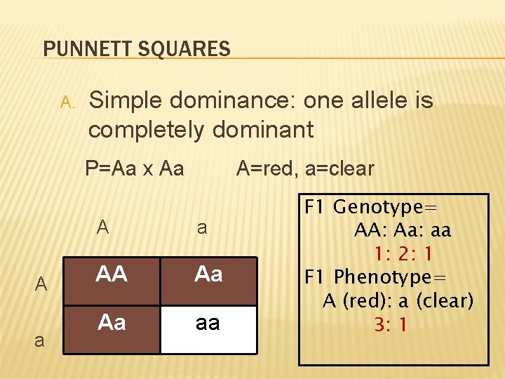 Predicting Genetic Outcomes PUNNETT SQUARES AND PROBABILITY PATTERNS