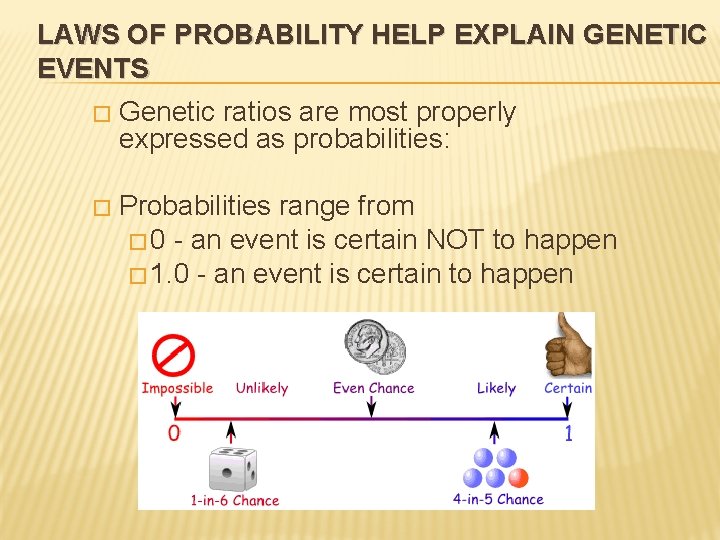 Predicting Genetic Outcomes PUNNETT SQUARES AND PROBABILITY PATTERNS