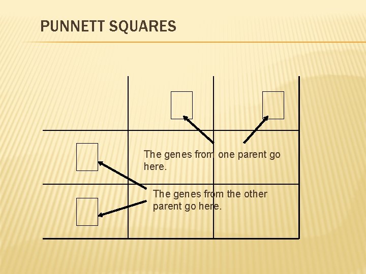 Predicting Genetic Outcomes PUNNETT SQUARES AND PROBABILITY PATTERNS