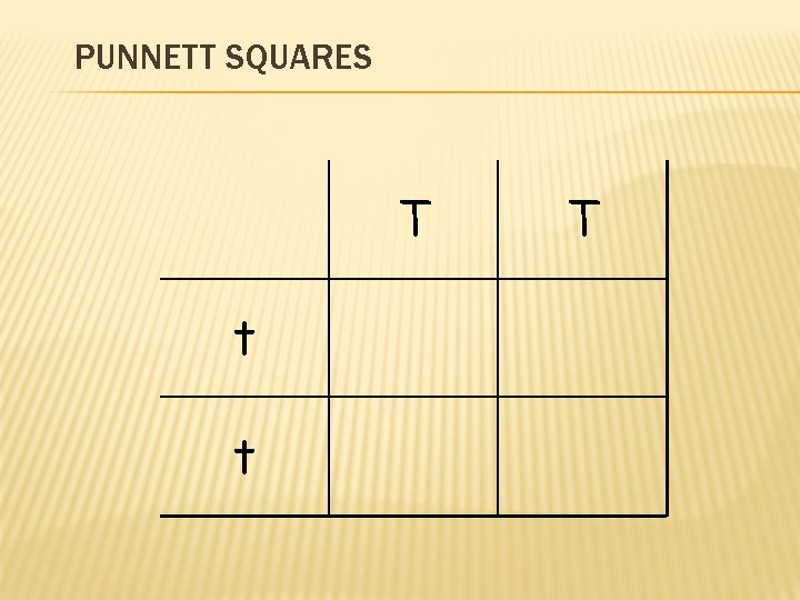 Predicting Genetic Outcomes PUNNETT SQUARES AND PROBABILITY PATTERNS