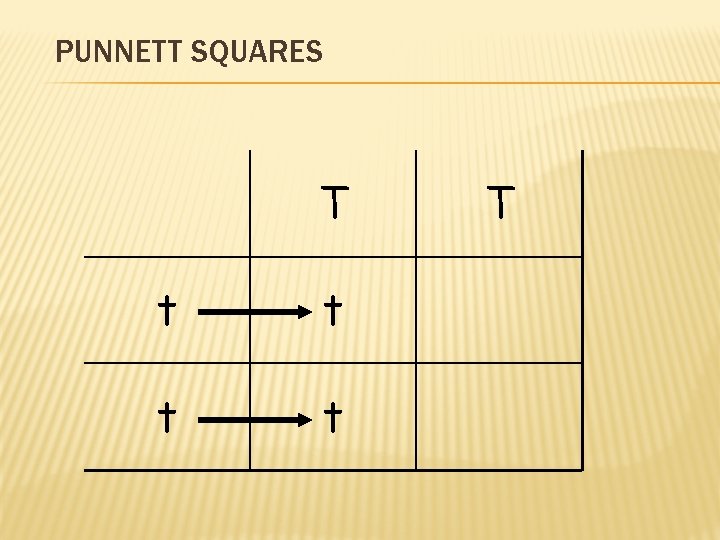 Predicting Genetic Outcomes PUNNETT SQUARES AND PROBABILITY PATTERNS
