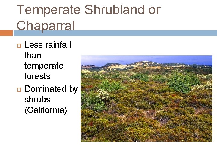 BIOMES AND AQUATIC ECOSYSTEMS Unit 4 The Biosphere