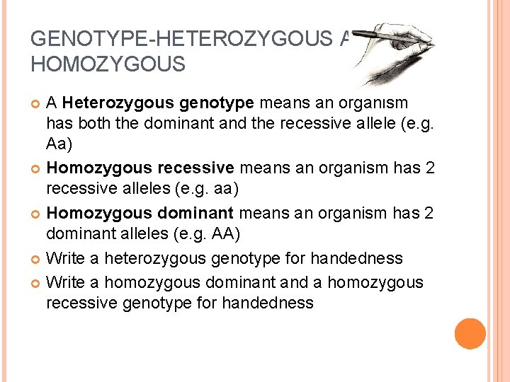 BASIC GENETICS TERMS Terms youve gotta know GENE