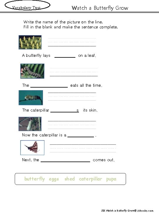 Prior knowledge Watch a Butterfly Grow Can you