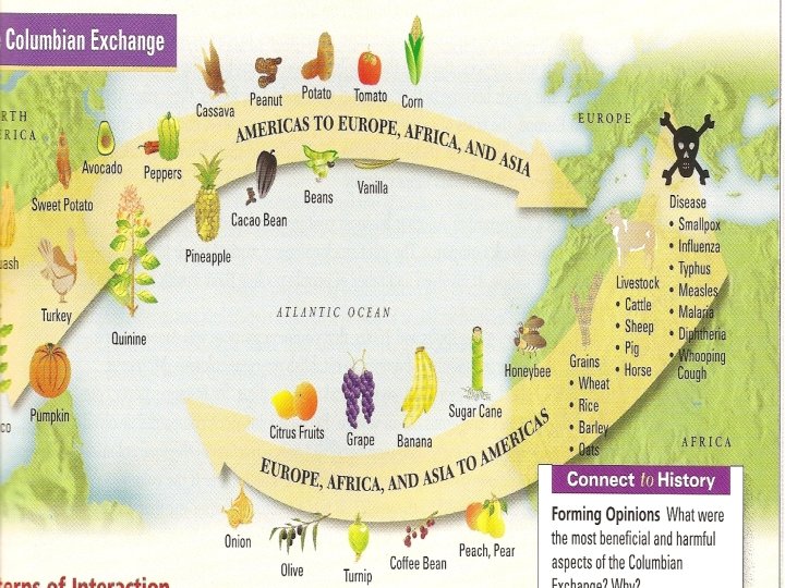 Columbian Exchange Vocab Cultural Diffusion The spread of
