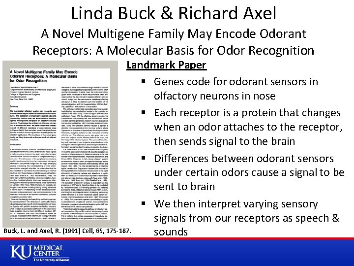 History of Neurology Linda Buck Ph D 1947