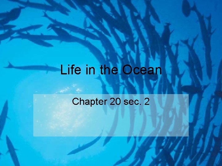 Ocean Water Vocabulary KWL Chart Ocean Water Misconceptions