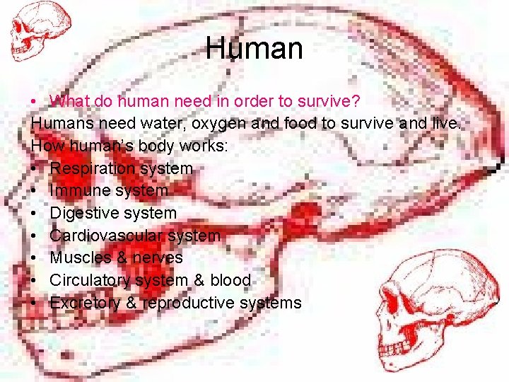 Biology By Amir Kaltun Biology is the study