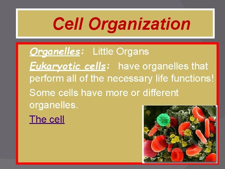 Characteristics of living things In order to be