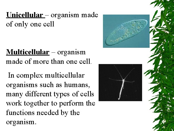 UNIT 1 Science of Biology NOTES Fill in