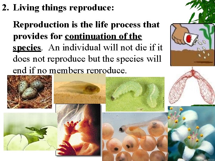 UNIT 1 Science of Biology NOTES Fill in