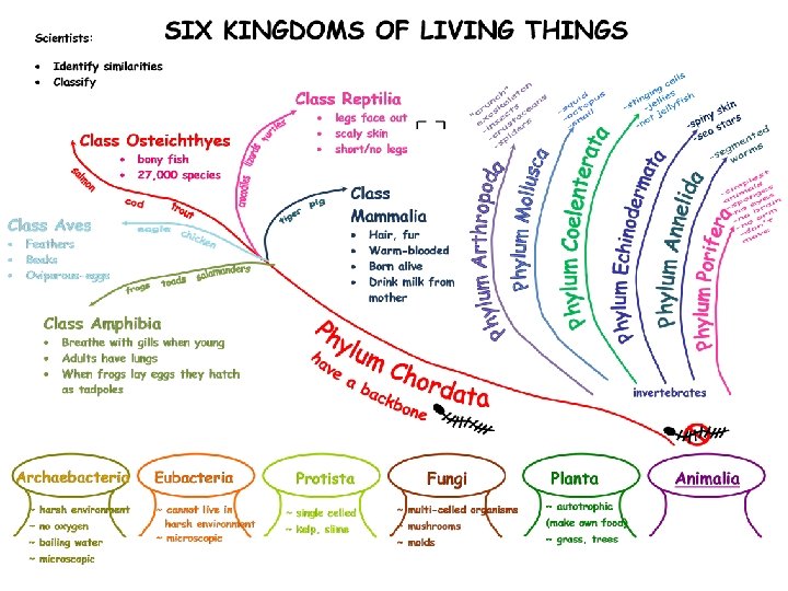 Big PictureSix Kingdoms of Living Things Table of