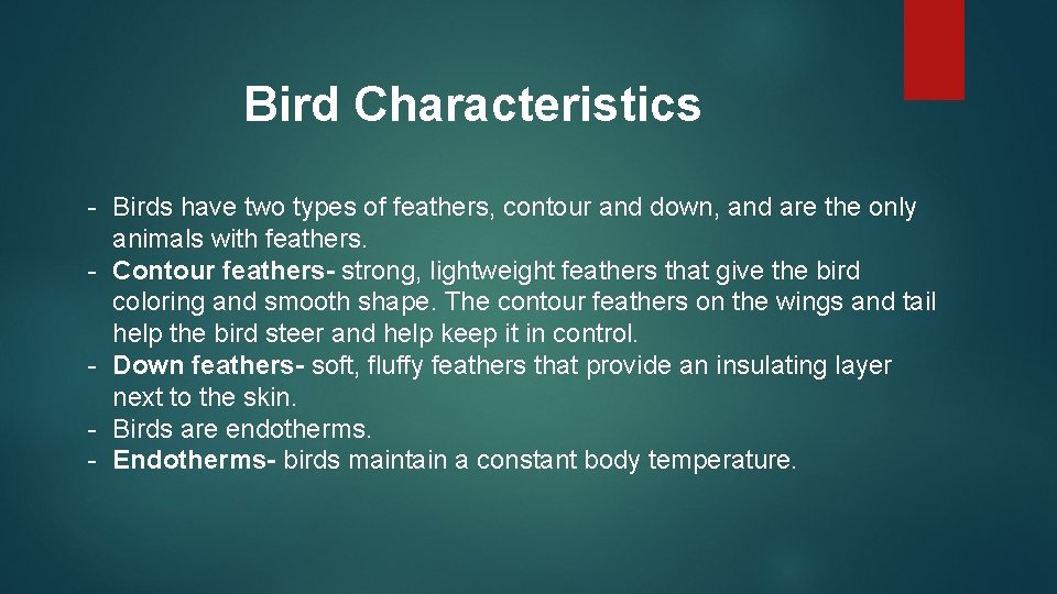 Chapter 15 Notes BIRDS AND MAMMALS Bird Characteristics