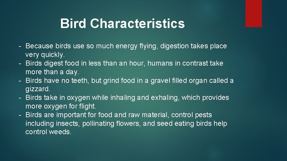 Chapter 15 Notes BIRDS AND MAMMALS Bird Characteristics