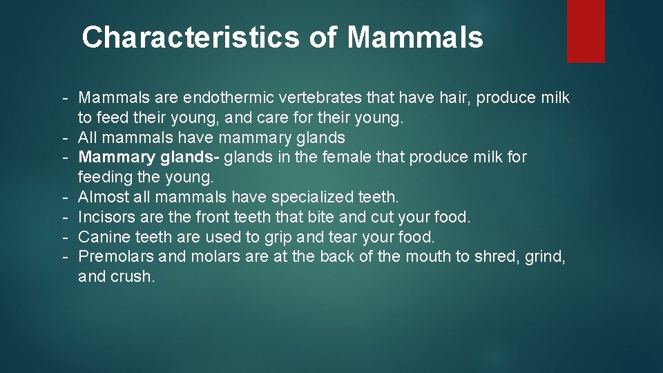 Chapter 15 Notes BIRDS AND MAMMALS Bird Characteristics
