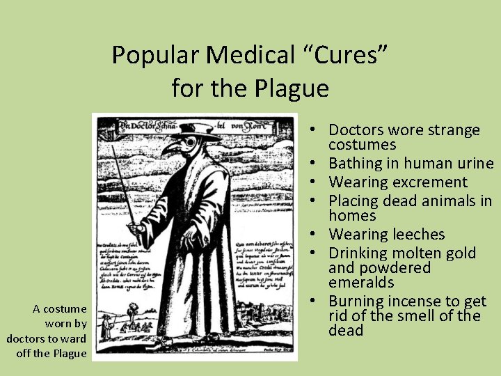 Black Death Plague The PlagueBlack Death 13 of