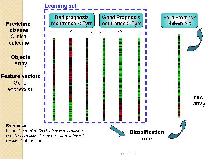 CSCE 555 Bioinformatics 15 classification for microarray data