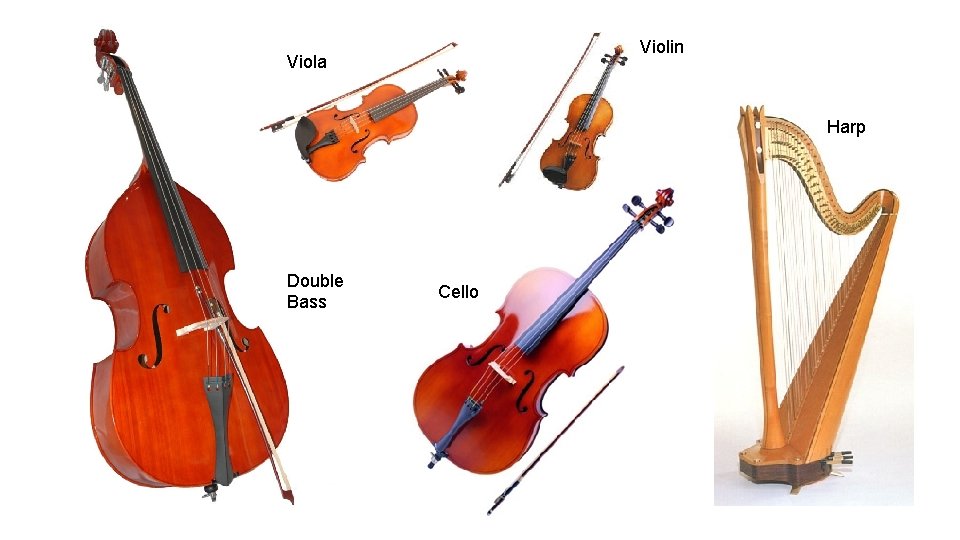 STRING INSTRUMENTS Violin Viola Harp Double Bass Cello