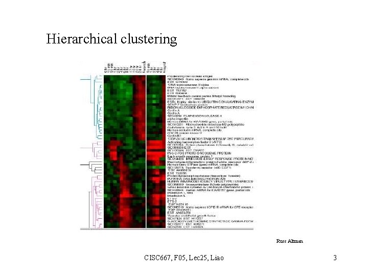 CISC 667 Intro to Bioinformatics Fall 2005 Systems
