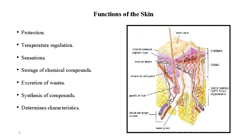 Practical histopathology Lab 11 General Methods in preparation