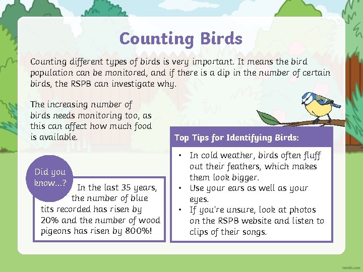 Why Do Birds Matter We often think that