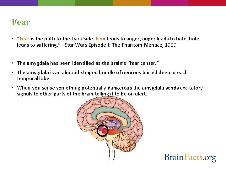 The Heart vs The Brain Emotions Mission Control