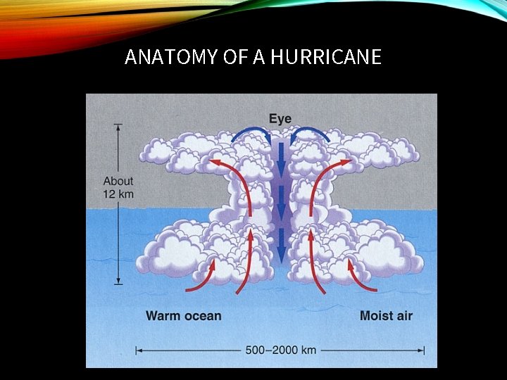 PART 3 HURRICANESTYPHOONS LEARNING GOALS Describe what a