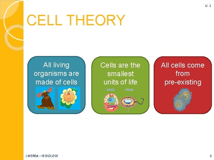 INTRODUCTION TO CELLS Topic 1 1 IB Biology