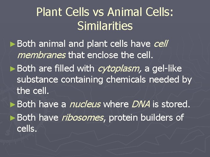 Comparing Plant and Animal Cells MYP Biology Mr