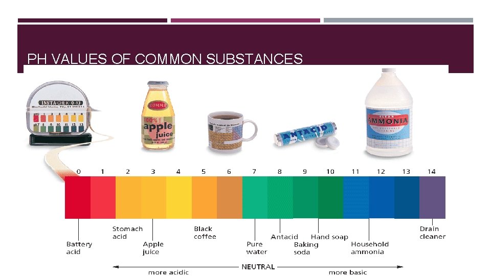 INTRODUCTION TO ACIDS BASES MRS ARIEL DANTON STUDENT