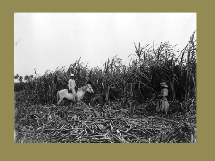 Ch 18 Sect 2 The SpanishAmerican War Cubans