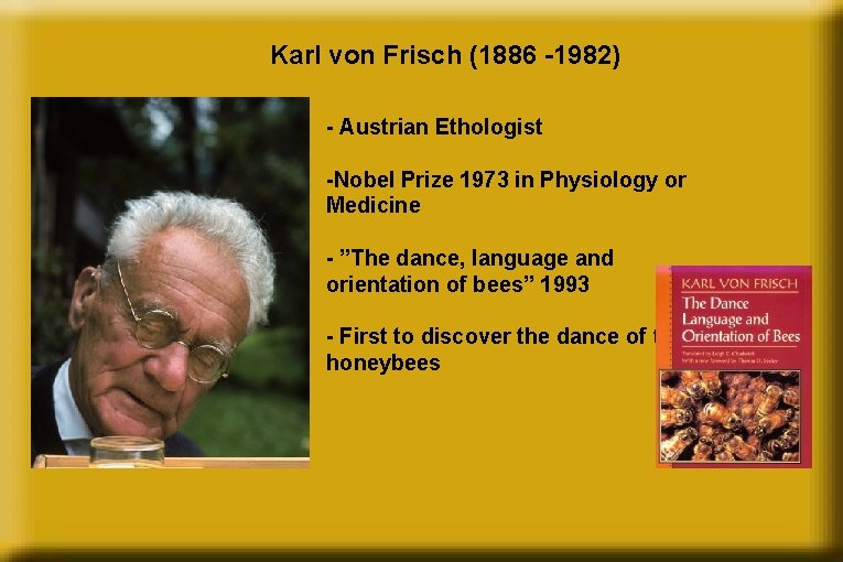 The Honeybee Dance By Kaila Bishop 14 June