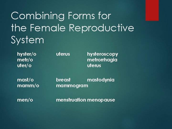 Female Reproductive System Chapter 17 Combining Forms For