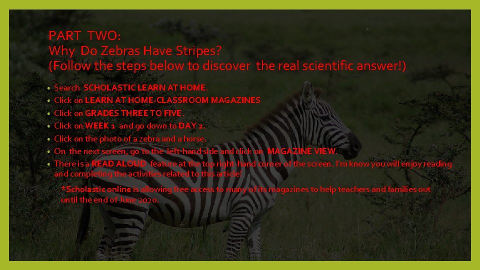 Click to add text WHY ZEBRAS HAVE STRIPES