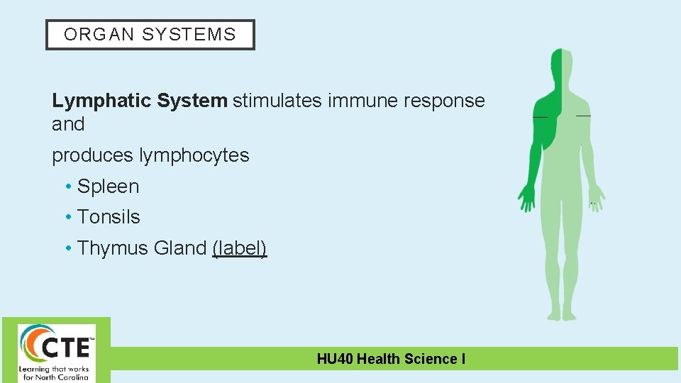 1 00 UNDERSTAND STRUCTURAL ORGANIZATION OF THE BODY