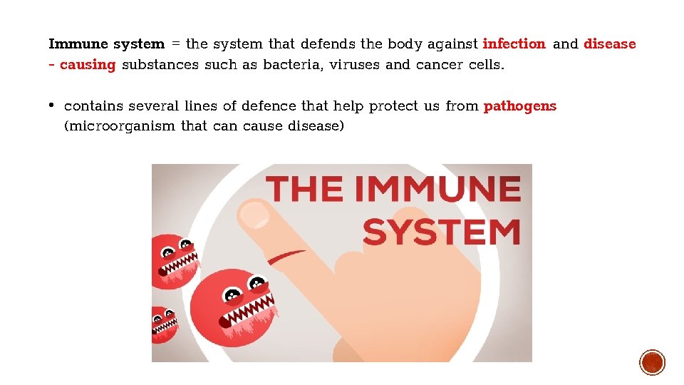 1 5 THE IMMUNE SYSTEM BRAINSTORM What do