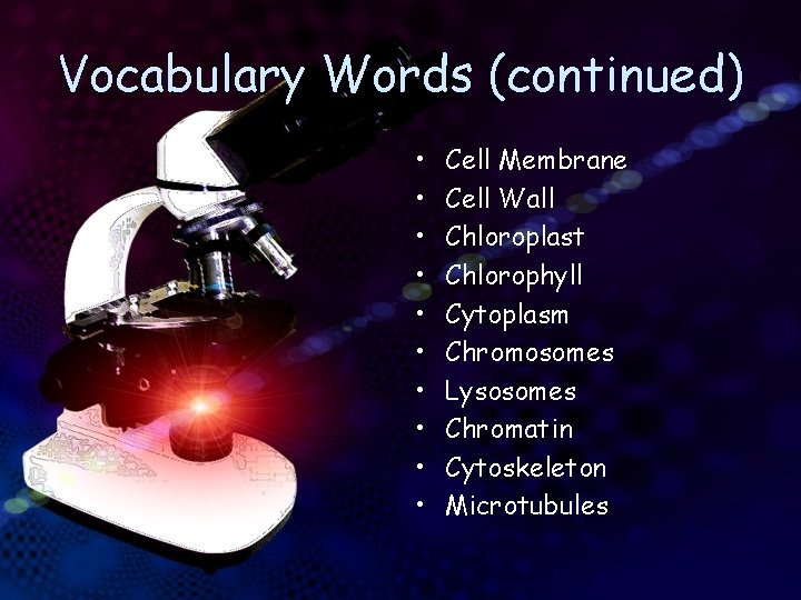 Cells Structures and Functions Vocabulary Words Nucleus Nucleolus