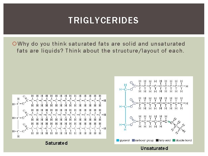 ACTIVITY 8 LIPIDS VOCABULARY Lipids Fats Oils Phospholipids