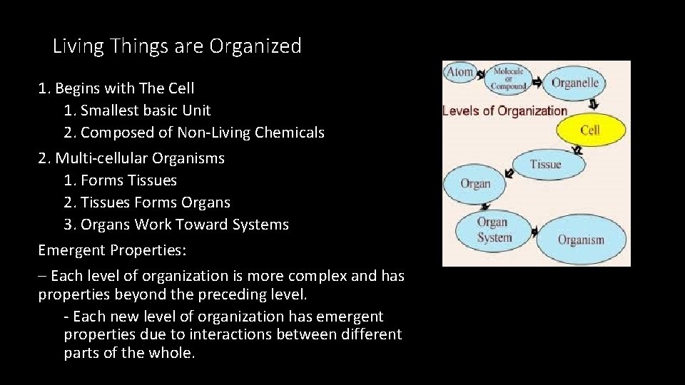 A View of Life BIOL 1000 General Biology