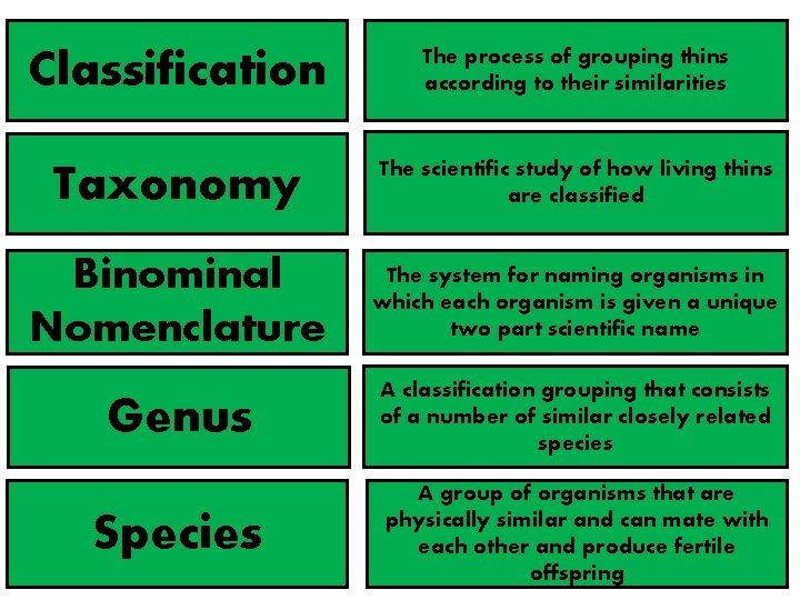 Organism A living thing Cell The basic unit