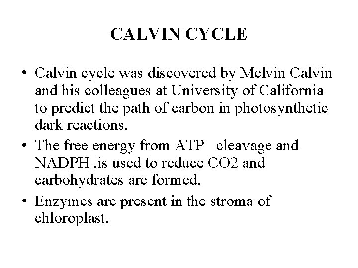 DARK REACTION OF PHOTOSYNTHESIS CALVIN CYCLE CAM METABOLISM