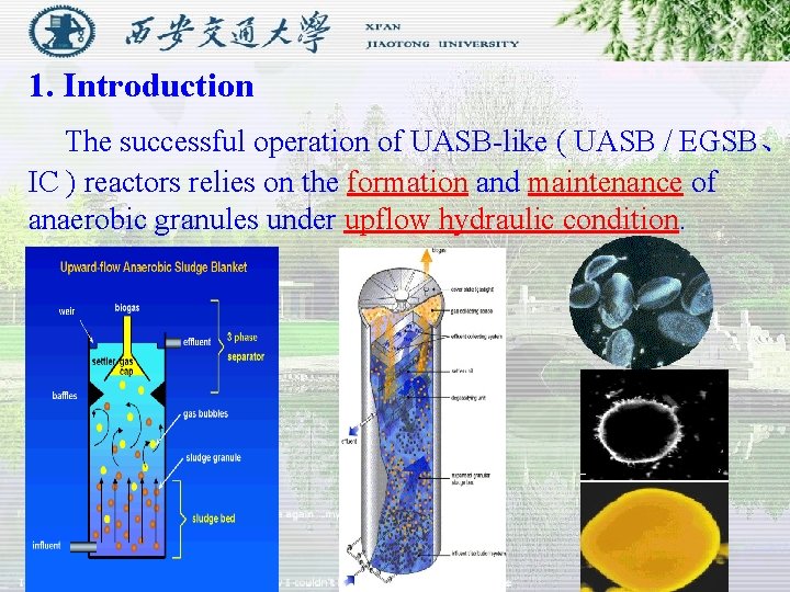 Hydraulic characteristics of anaerobic granules under different operation