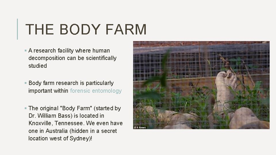 FORENSICS AND EXPERTS Dr Melissa de VelPalumbo OUTLINE