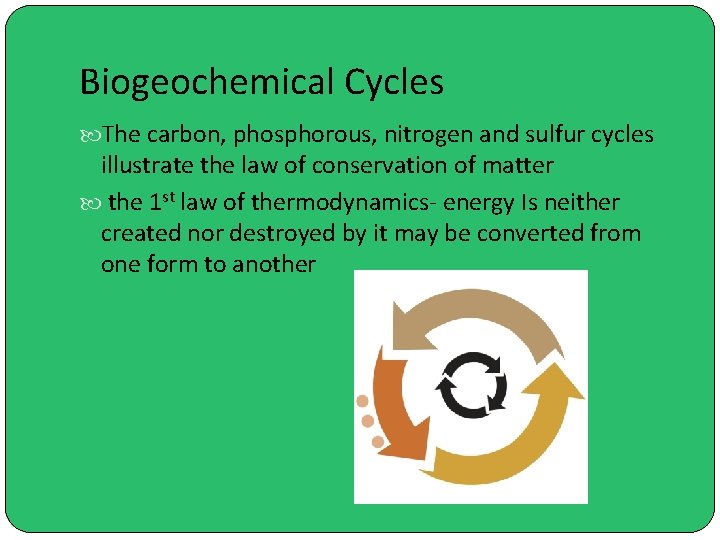 Terrestrial Ecology Part Two Biogeochemical Cycles Biomes Succession